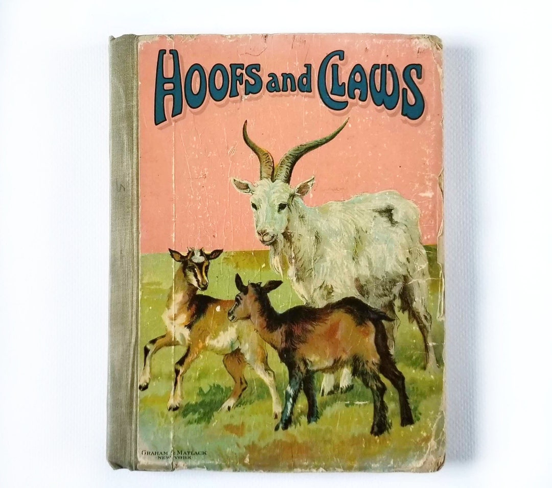 Antique Children's Book, Hoofs and Claws, Learning Book, Vintage ...