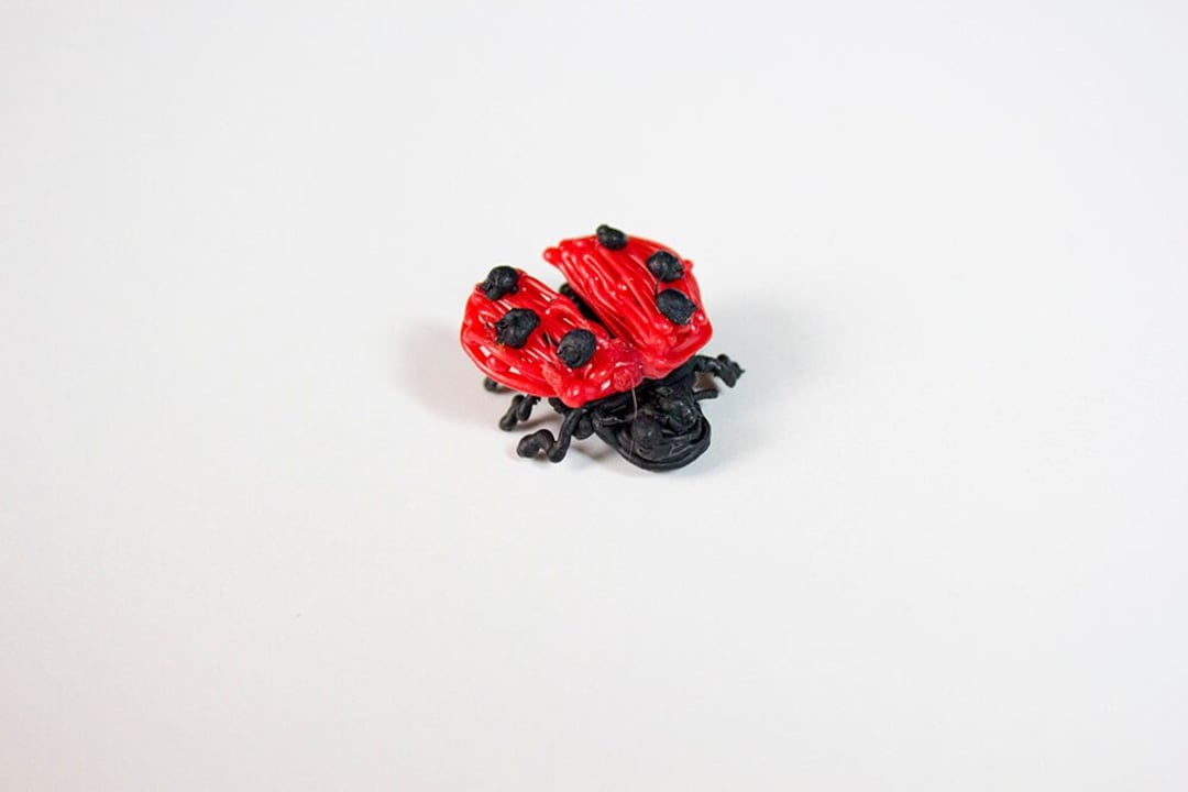 Ladybug - 3doodle Bug Specimen (3D Pen Illustration) - Etsy