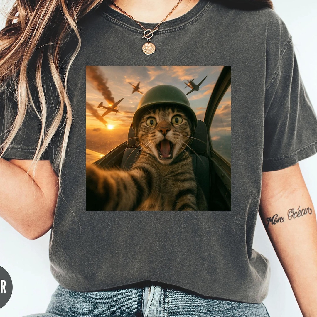 Pilot Cat Meme PNG, Fighter Jet Cat Art, Funny Cat Selfie, Chaos Cat ...