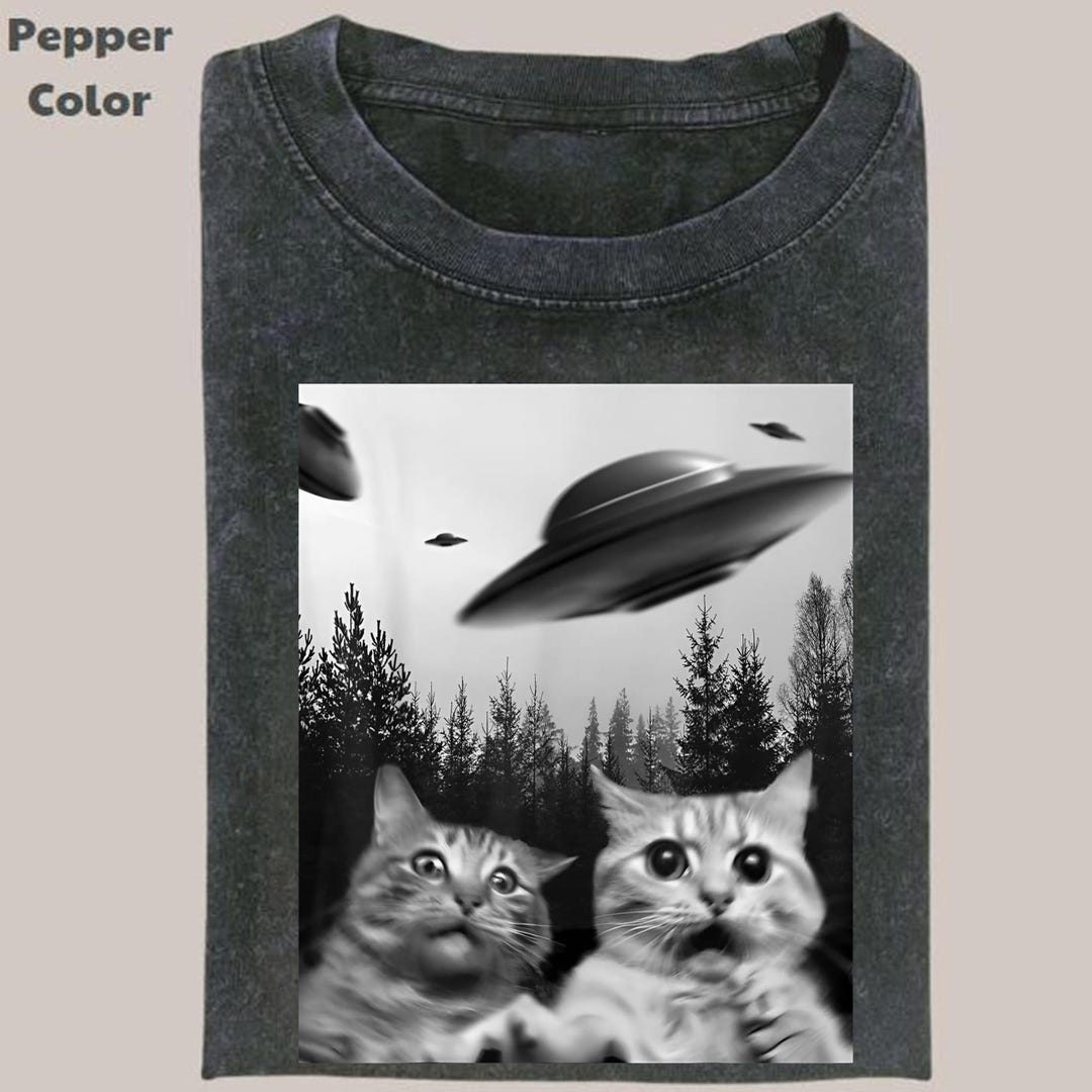 Alien Cat Abduction PNG, UFO Cat Meme Art, Funny C - Etsy