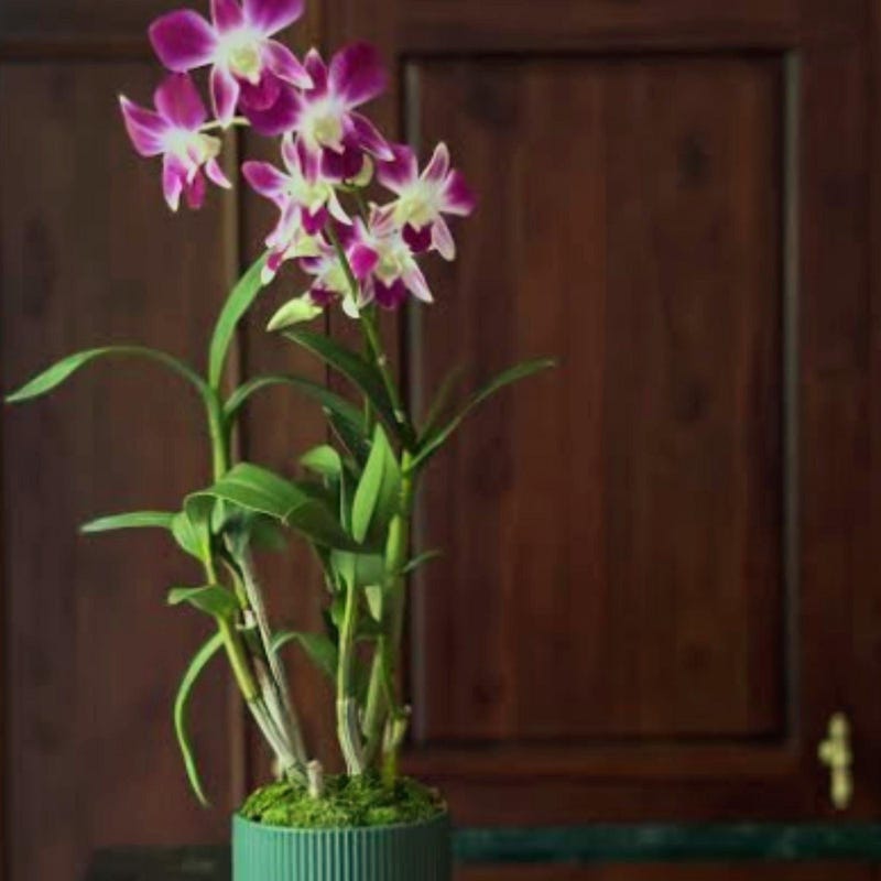 Orchidee Metal Bird - Etsy Canada