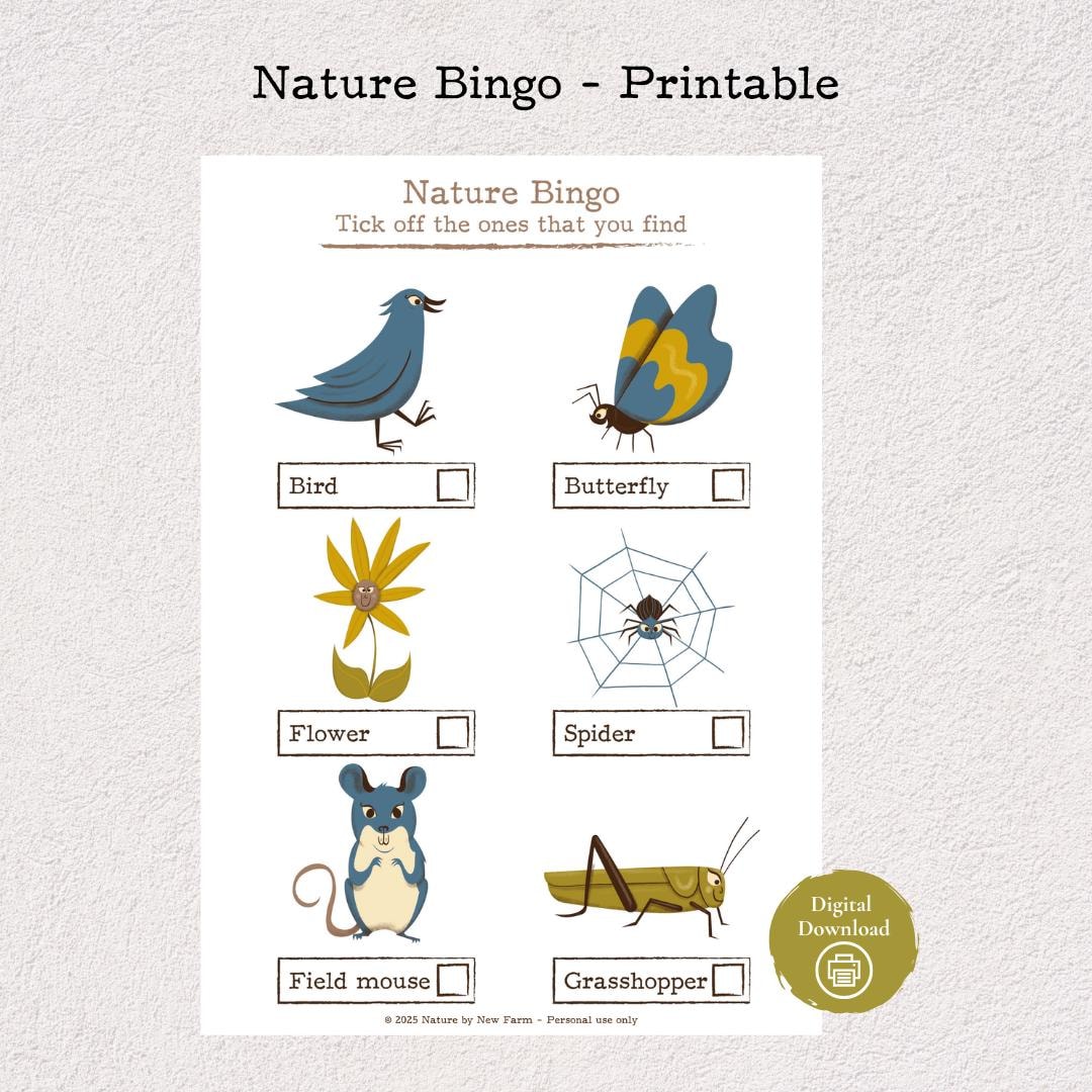 Nature Bingo Activity Printable – Kids Outdoor Activity – A4 PDF ...