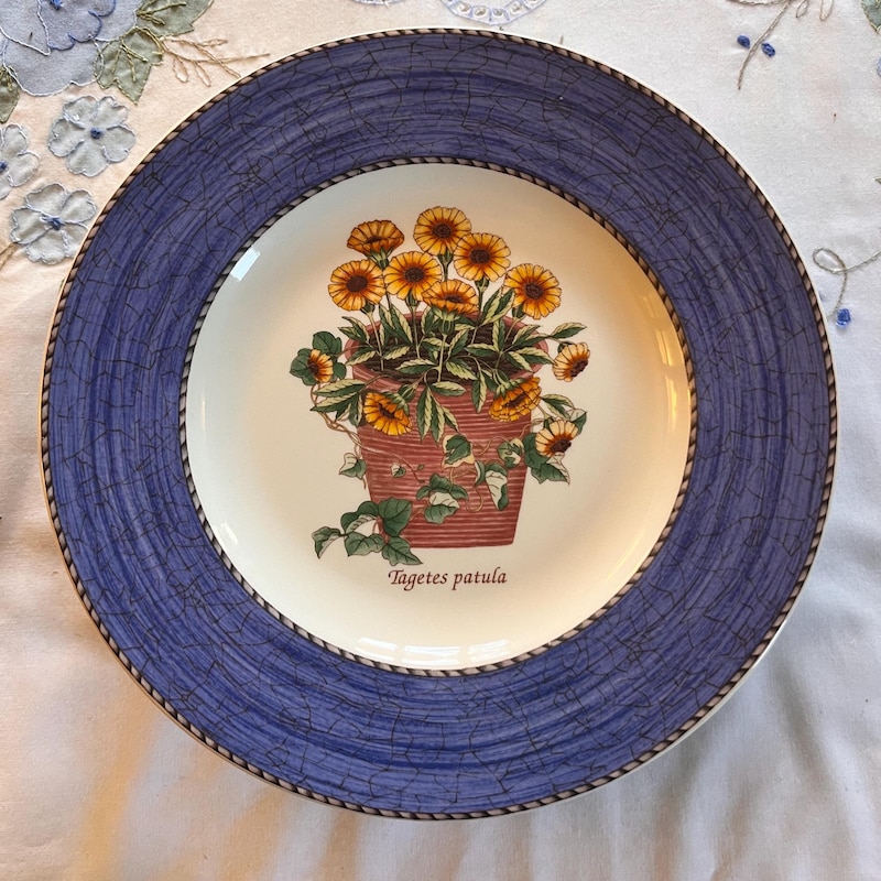 Wedgwood Garden Design - Etsy UK