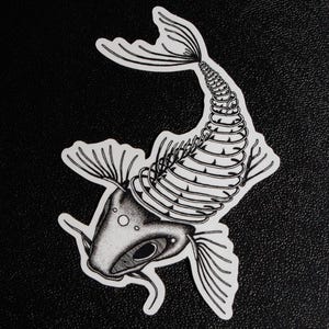 koi carp skeleton