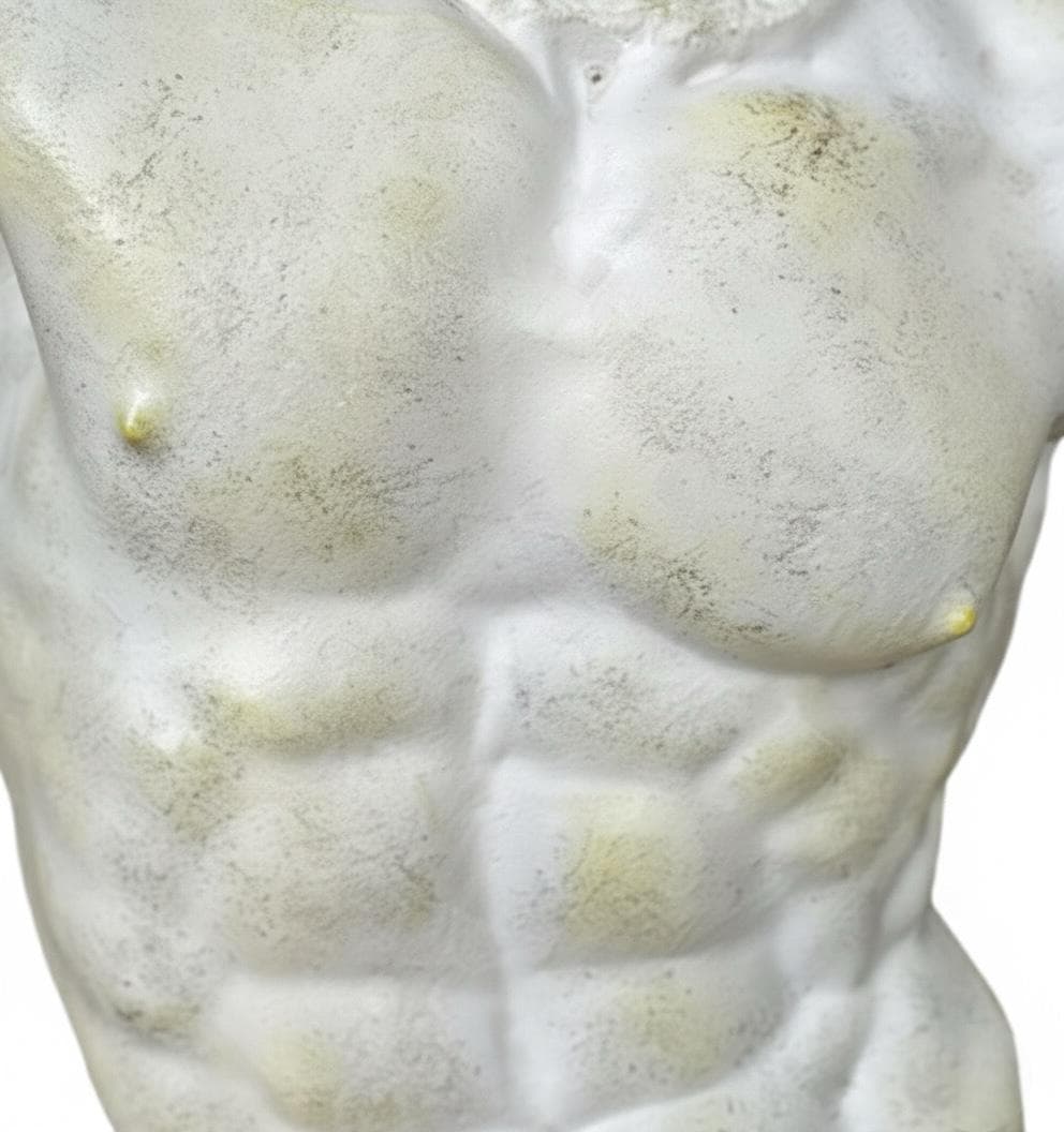 Premium Greek Torso Statue - White Marble Effect Male Body Sculpture ...