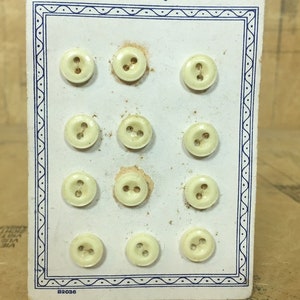 Set of Twelve Vintage Buttons. Cute Ivory Coloured Shirt Buttons ...