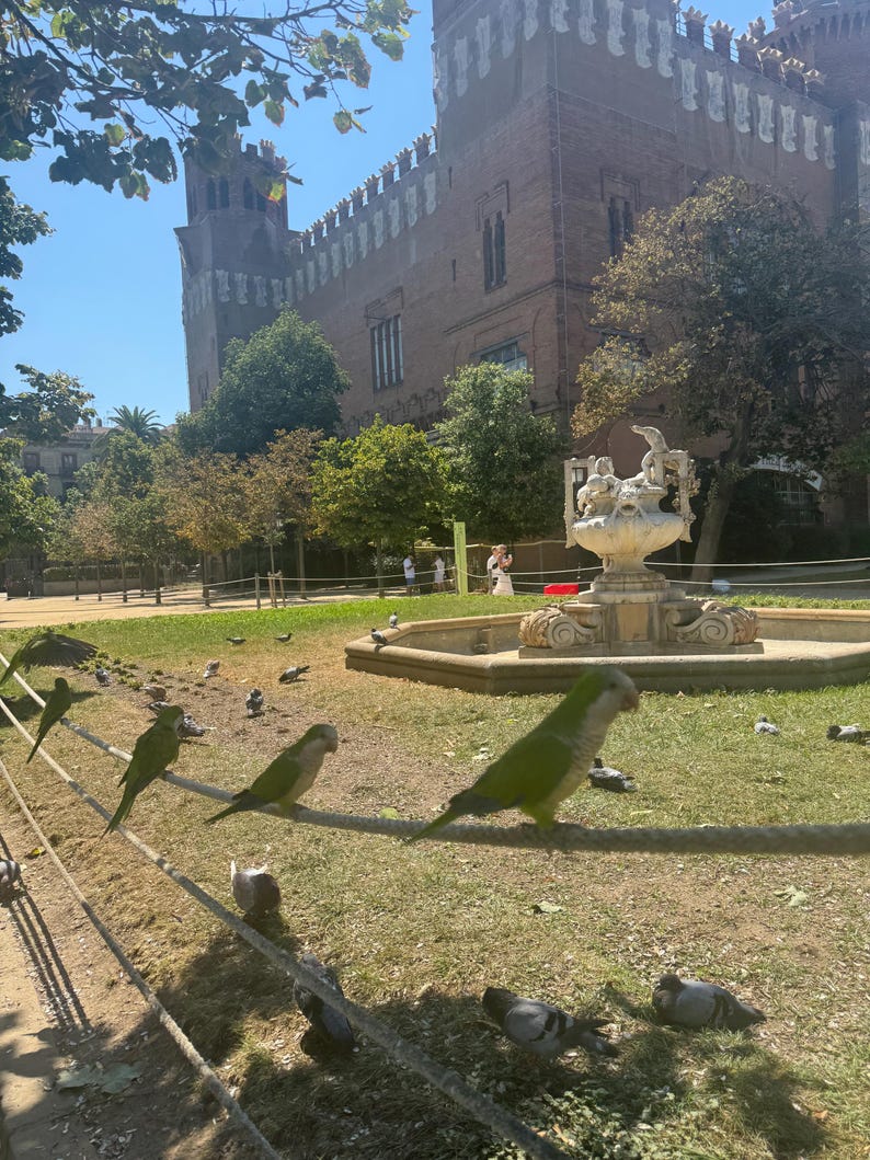 Barcelona Travel Guide, 2 Day Itinerary, Solo Female Travel (digital ...