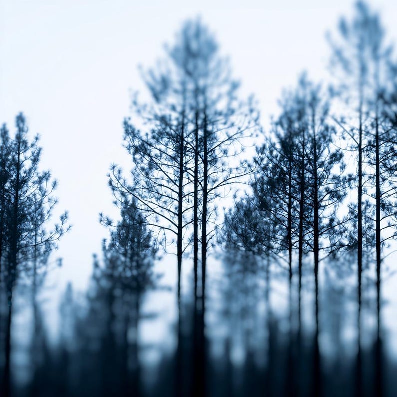 Forest Texture Pack – 100 Nature & Woodland Backgrounds for Design (300 ...