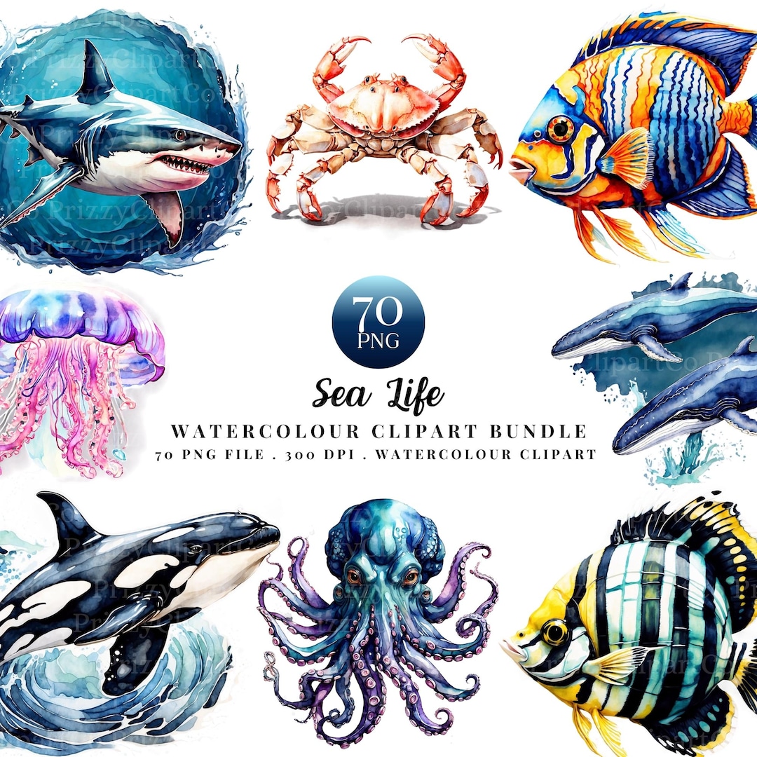 Sea Life Watercolour Clipart Bundle PNG, Ocean Animals Shark Whale Fish ...