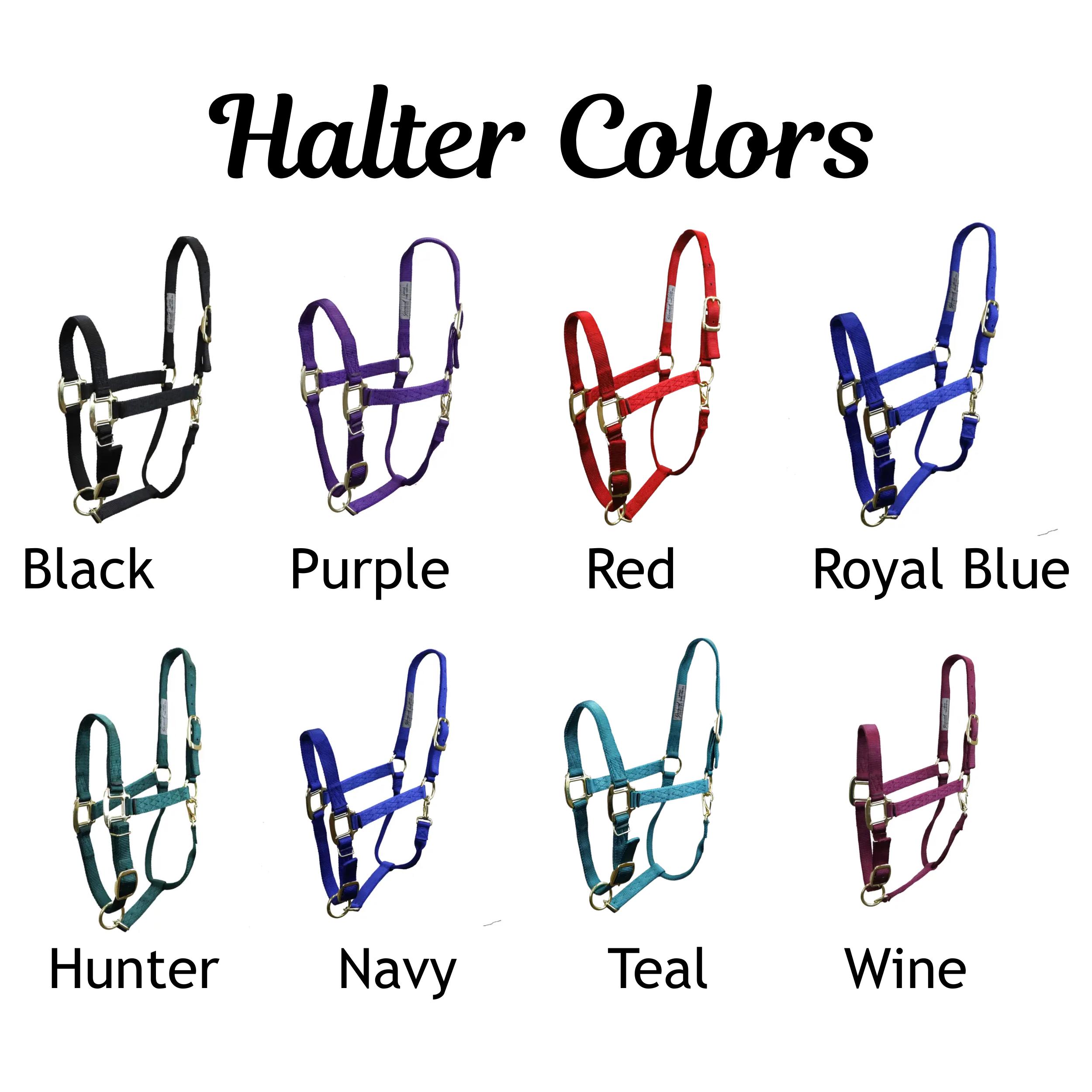 Personalized Adjustable Horse Halter, Halter, Monogrammed Horse Halter ...
