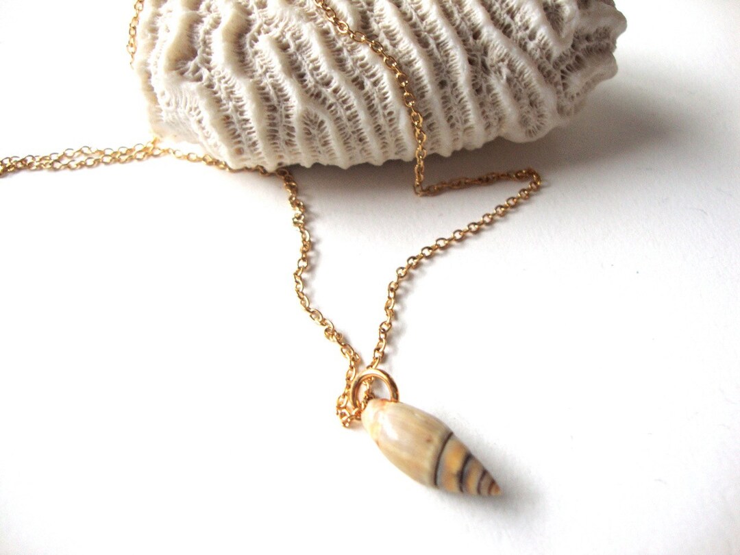 Vintage Seashell Necklace : Bitty Vintage Seashell Necklace on a Gold ...