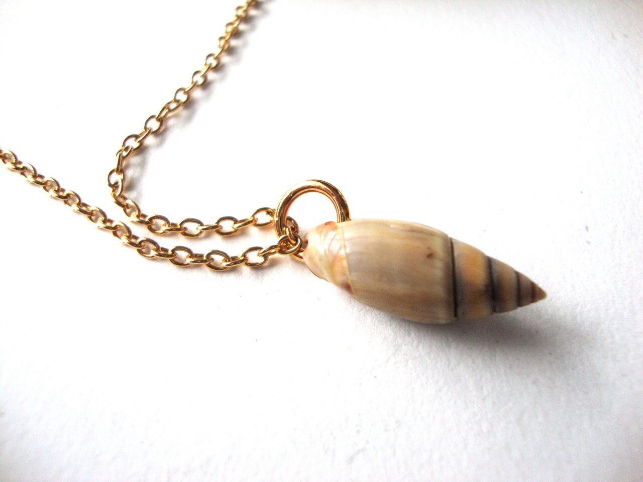 Vintage Seashell Necklace : Bitty Vintage Seashell Necklace on a Gold ...