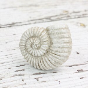 Shell Knobs, Dresser Knobs, Unique Cabinet Knobs, Beach House Decor, Coastal Drawer Pulls ...