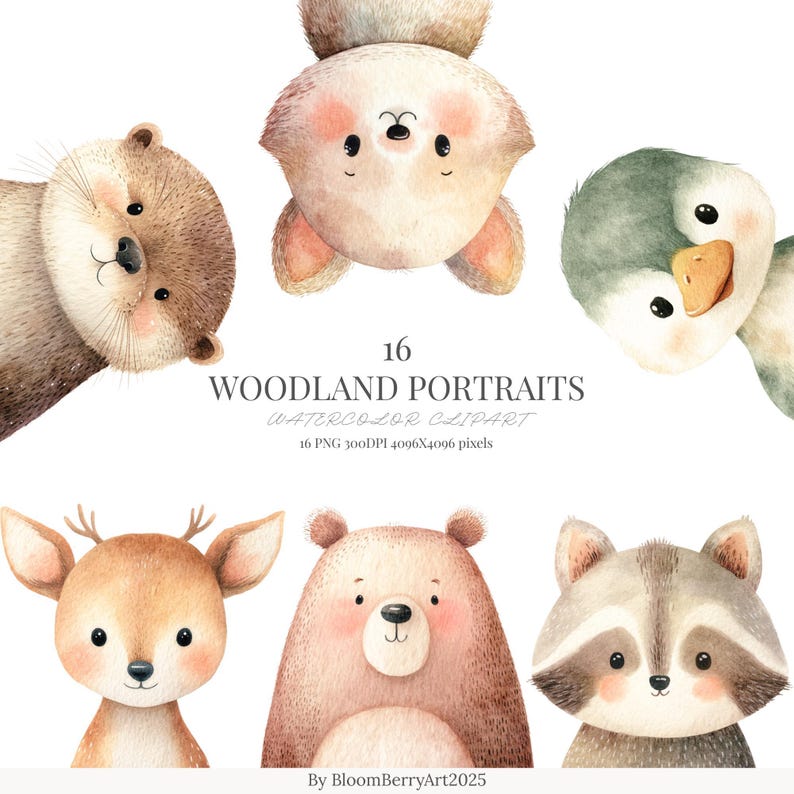 Watercolor Woodland Animal Clipart Cute Baby Forest Animals PNG ...