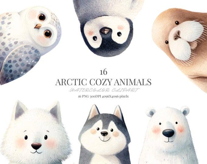 Arctic Animal Watercolor Clipart, Winter Holiday Graphic, Baby Polar ...