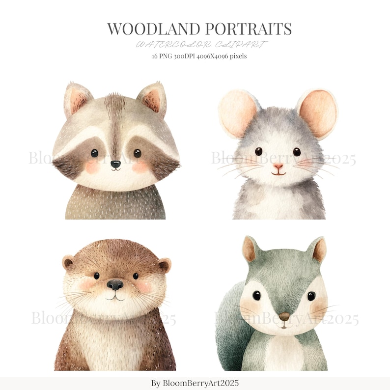 Watercolor Woodland Animal Clipart Cute Baby Forest Animals PNG ...