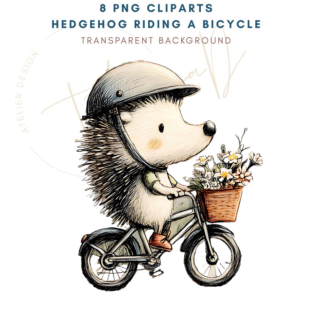 8 Hedgehog Bicycle Clipart, Cartoon Hedgehog, Printable Watercolor ...