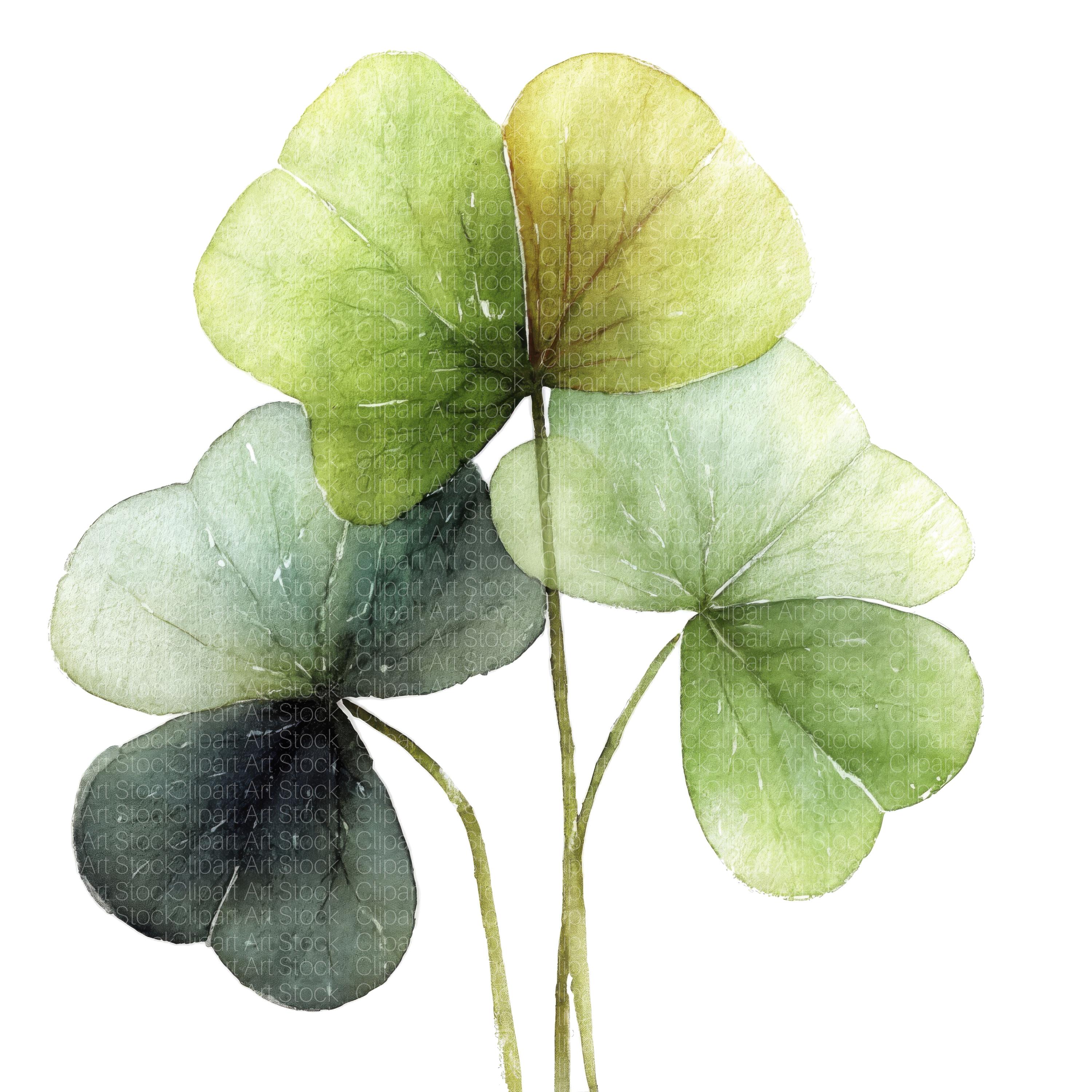 12 Four Leaf Clover Watercolor Clipart | Lucky Shamrock Leafs | Green ...