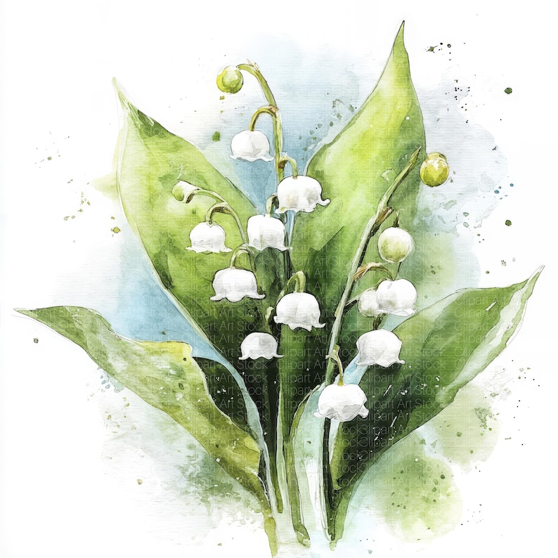 15 Lily of the Valley Clipart JPG | Watercolor Spring Flowers | Elegant ...