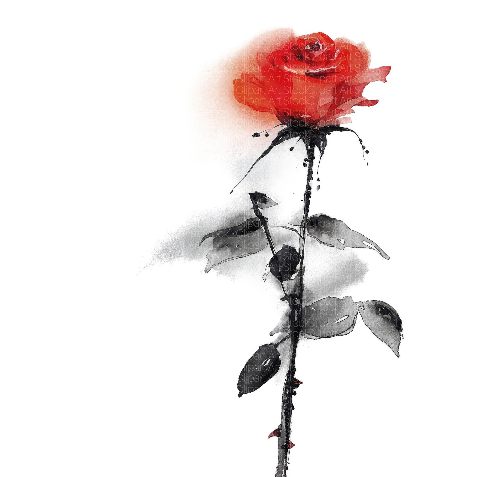 20 Red Rose Watercolor Clipart JPG | Elegant Black & Red Ink Roses ...