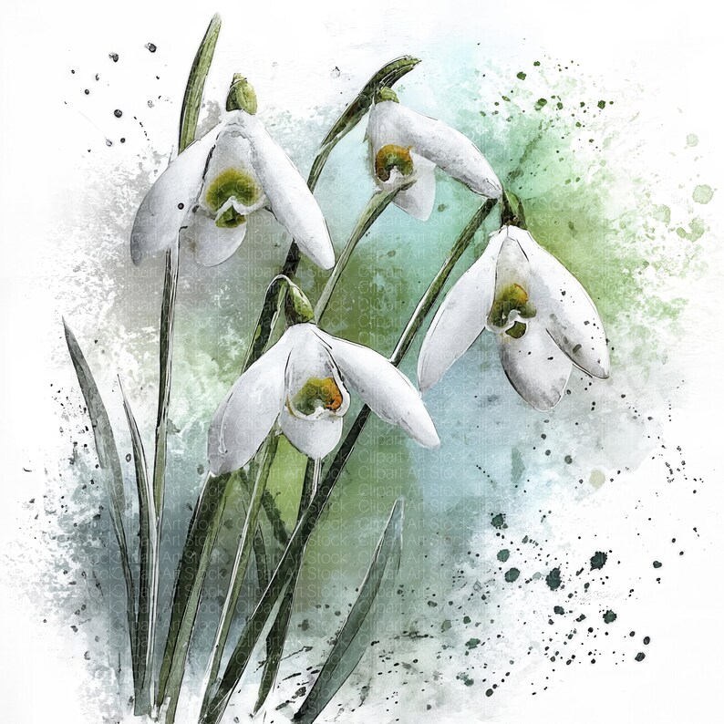 17 Snowdrop Watercolor Clipart JPG | White Spring Flowers, Botanical ...