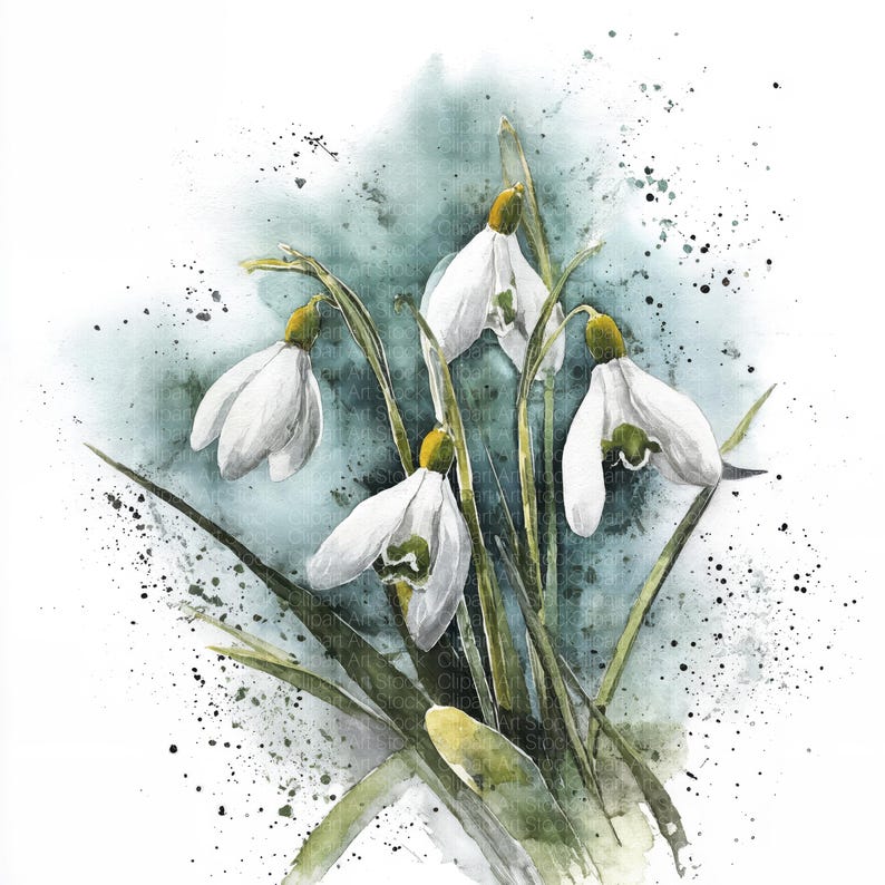 17 Snowdrop Watercolor Clipart JPG | White Spring Flowers, Botanical ...