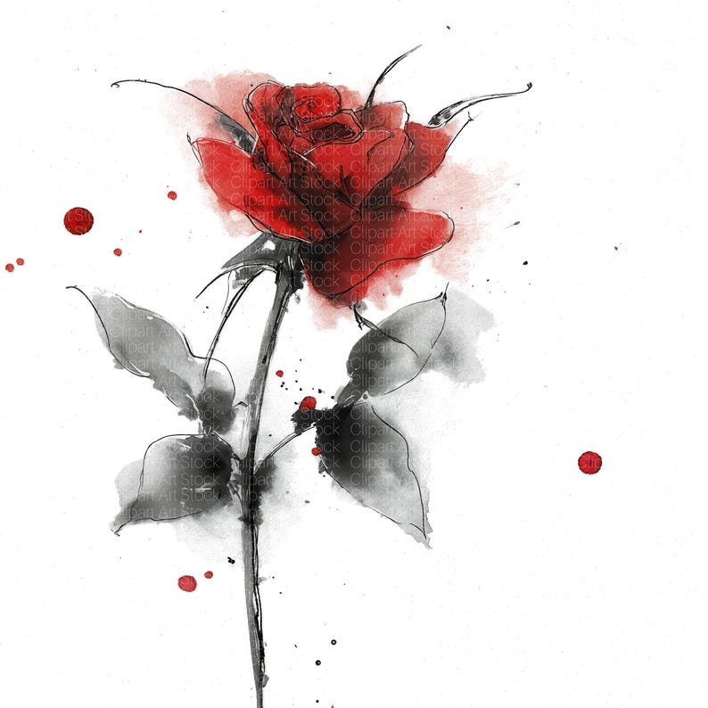 20 Red Rose Watercolor Clipart JPG | Elegant Black & Red Ink Roses ...