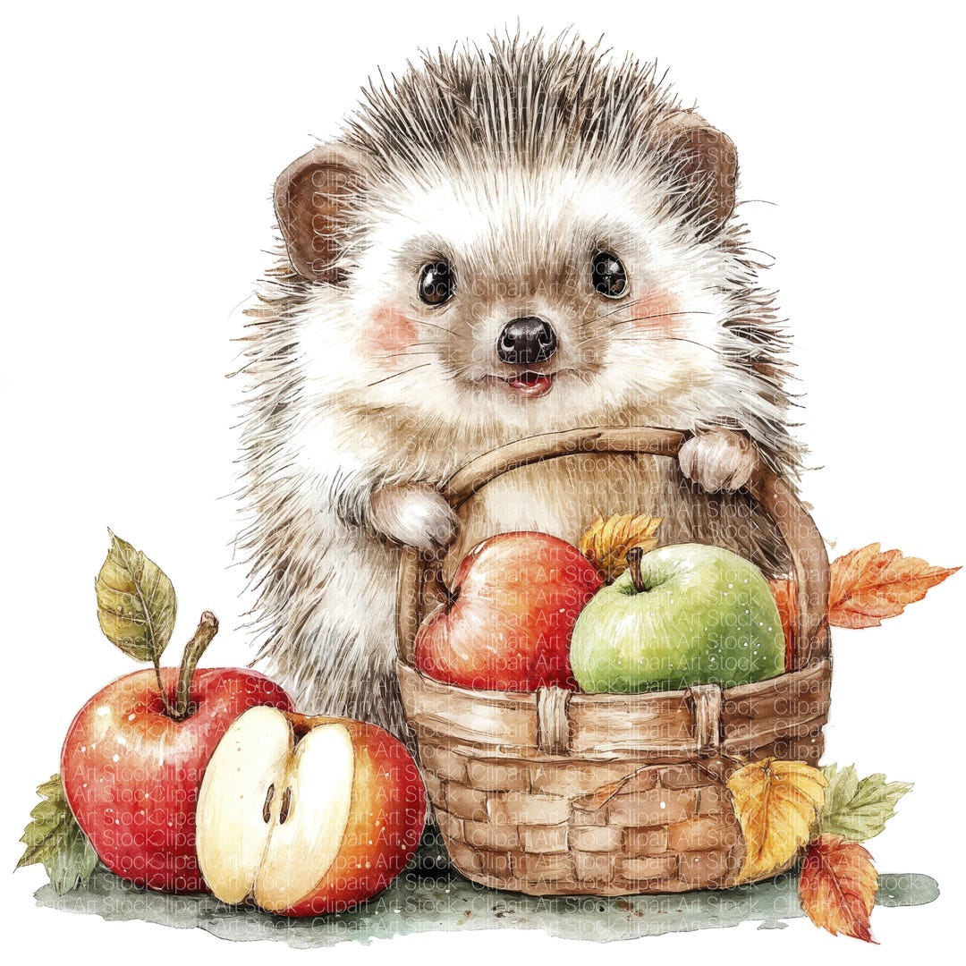 12 Autumn Hedgehog Clipart | Fall Hedgehog With Apples | Printable ...
