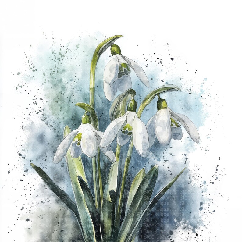 17 Snowdrop Watercolor Clipart JPG | White Spring Flowers, Botanical ...