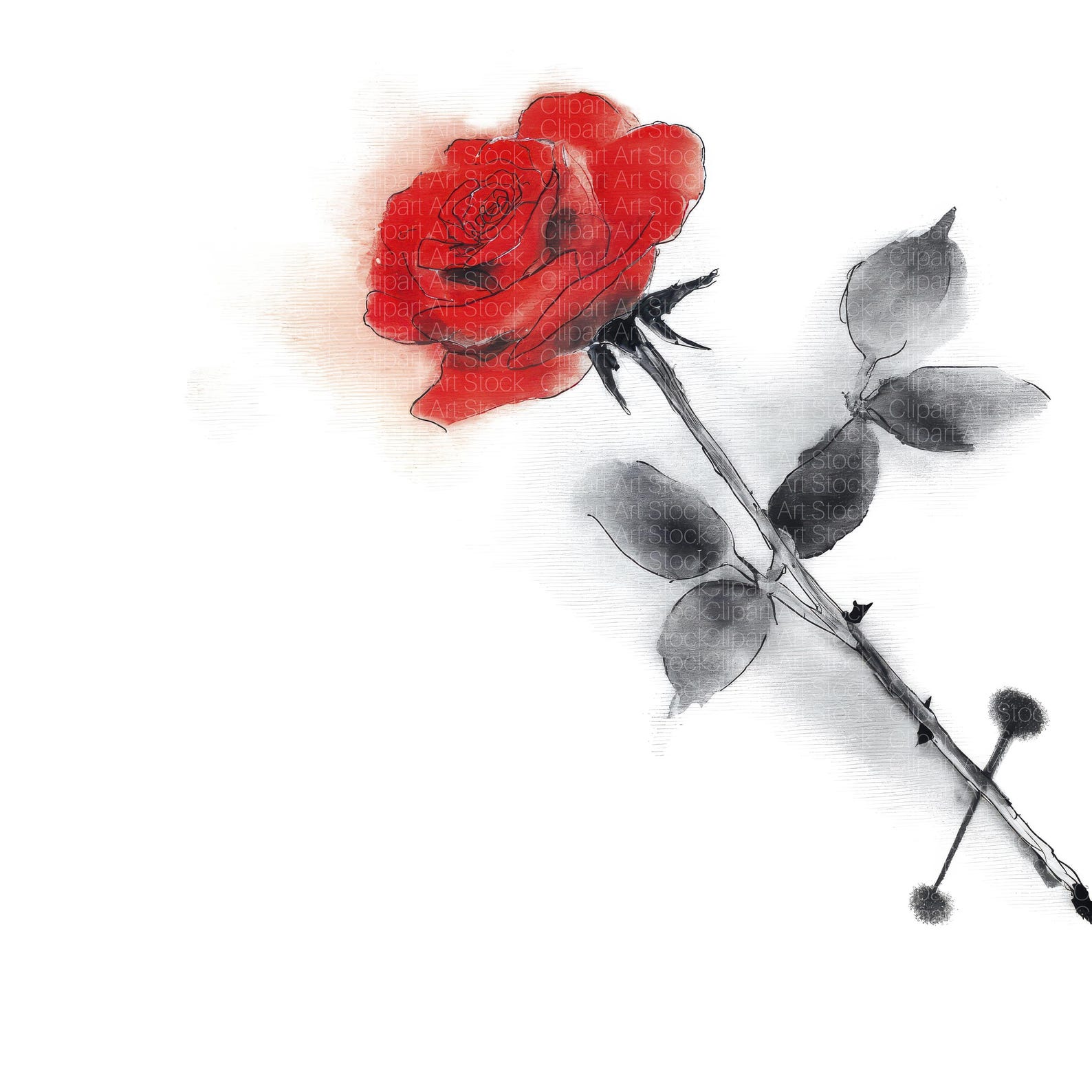 20 Red Rose Watercolor Clipart JPG | Elegant Black & Red Ink Roses ...