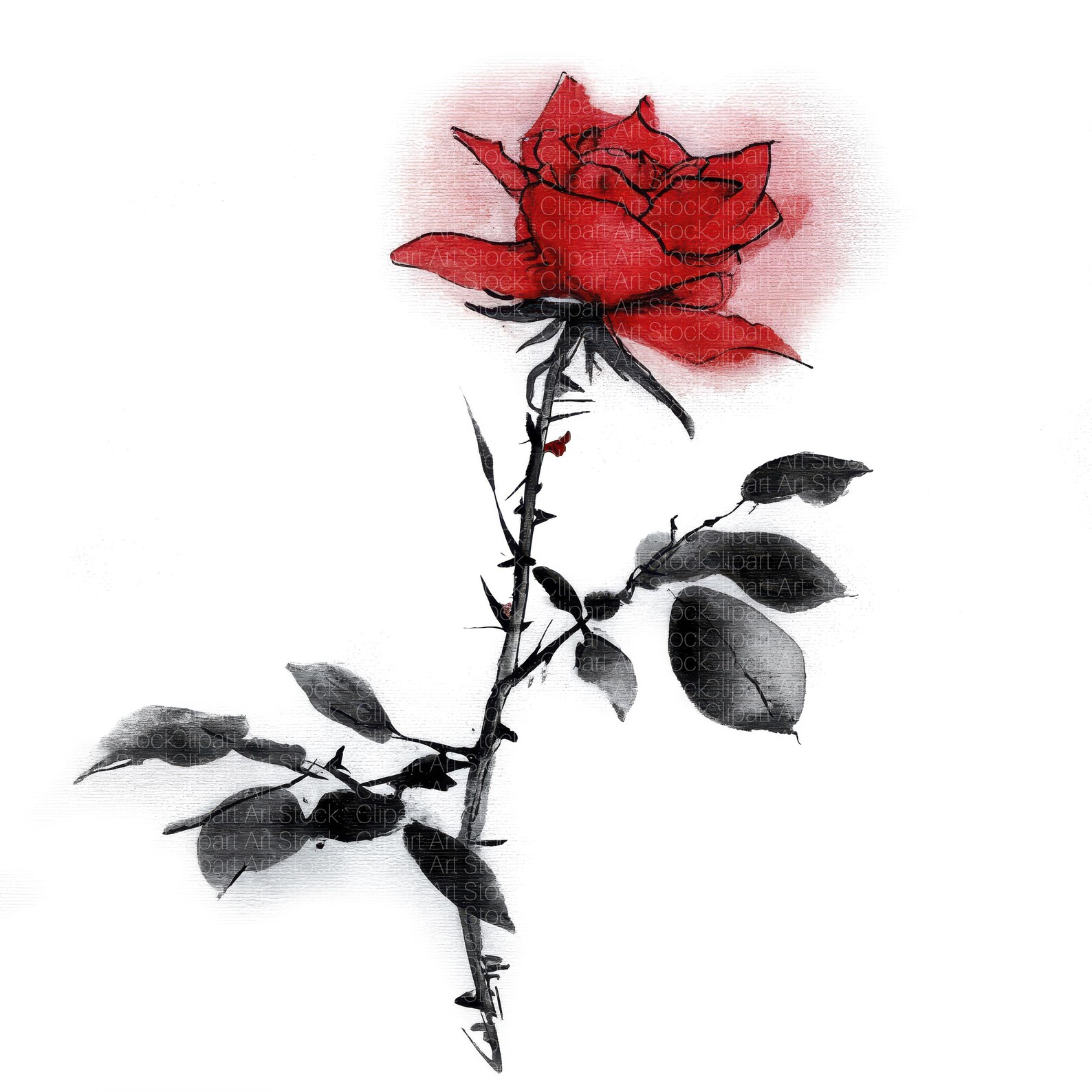 20 Red Rose Watercolor Clipart JPG | Elegant Black & Red Ink Roses ...