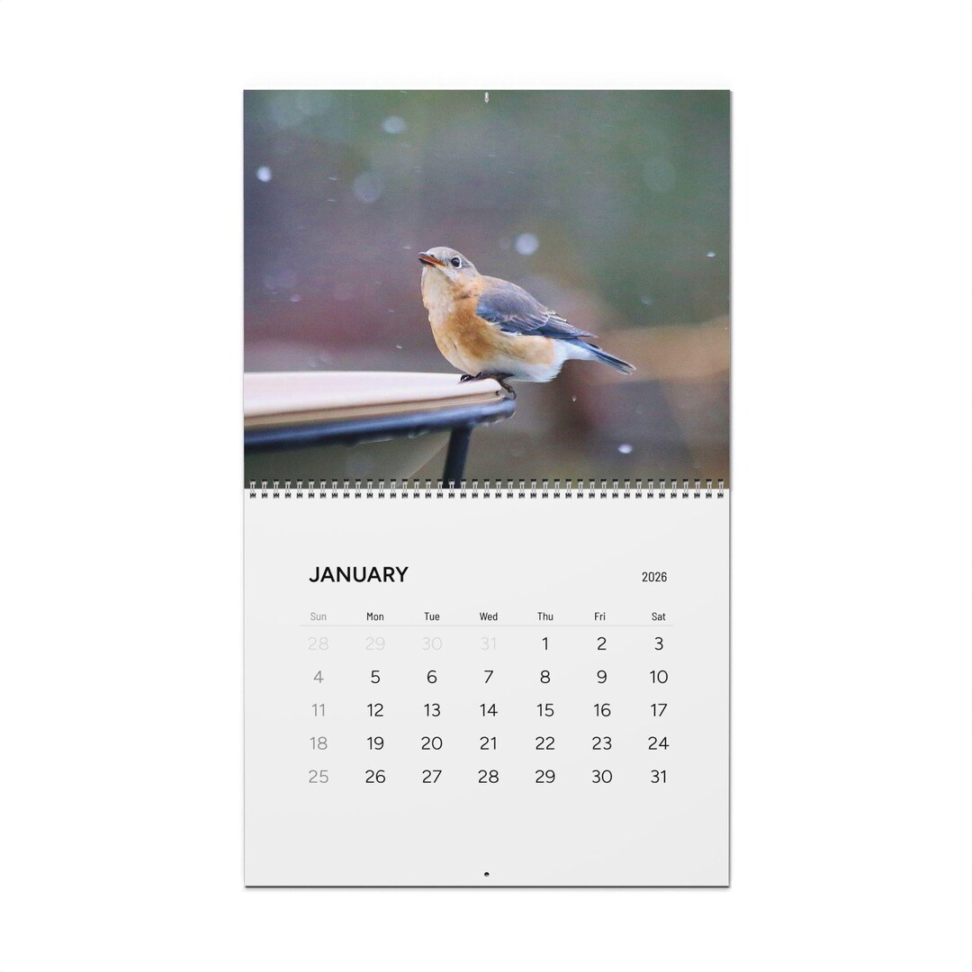 Nature-inspired Backyard Birds Wall Calendar (2026) | Monthly Planner ...