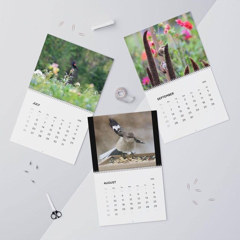 Nature-inspired Backyard Birds Wall Calendar (2026) | Monthly Planner ...