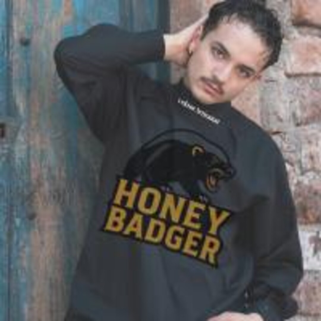Fierce Honey Badger Crest Logo | Aggressive Mascot Design | Vector ...