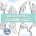 Ocean Animal Coloring Pages, Zentangle Coloring Pages, Sea Creature ...