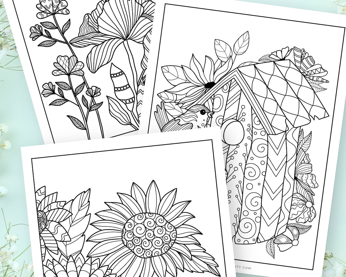 Spring Coloring Pages, Adult Coloring Sheets, Coloring Page Craft ...