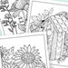 Spring Coloring Pages, Adult Coloring Sheets, Coloring Page Craft ...