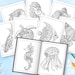 Ocean Animal Coloring Pages, Zentangle Coloring Pages, Sea Creature ...