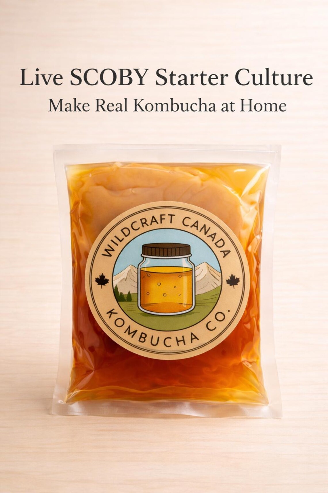 Live Kombucha Starter Culture – Reliable SCOBY for Home Brewing - Etsy ...