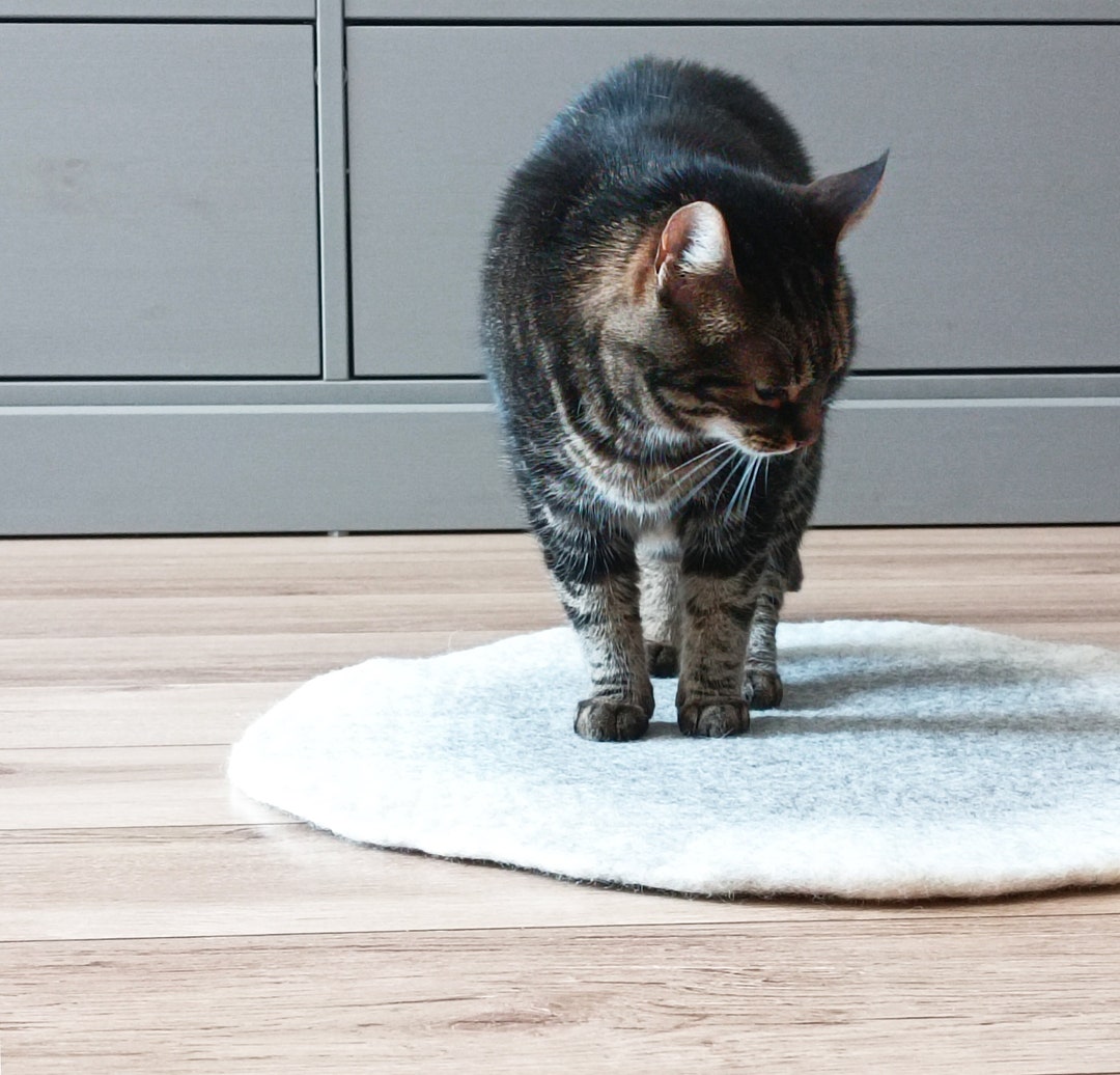 Ombre Wool Pet Mat: Natural Sheep Wool Cat/dog Bed - Etsy
