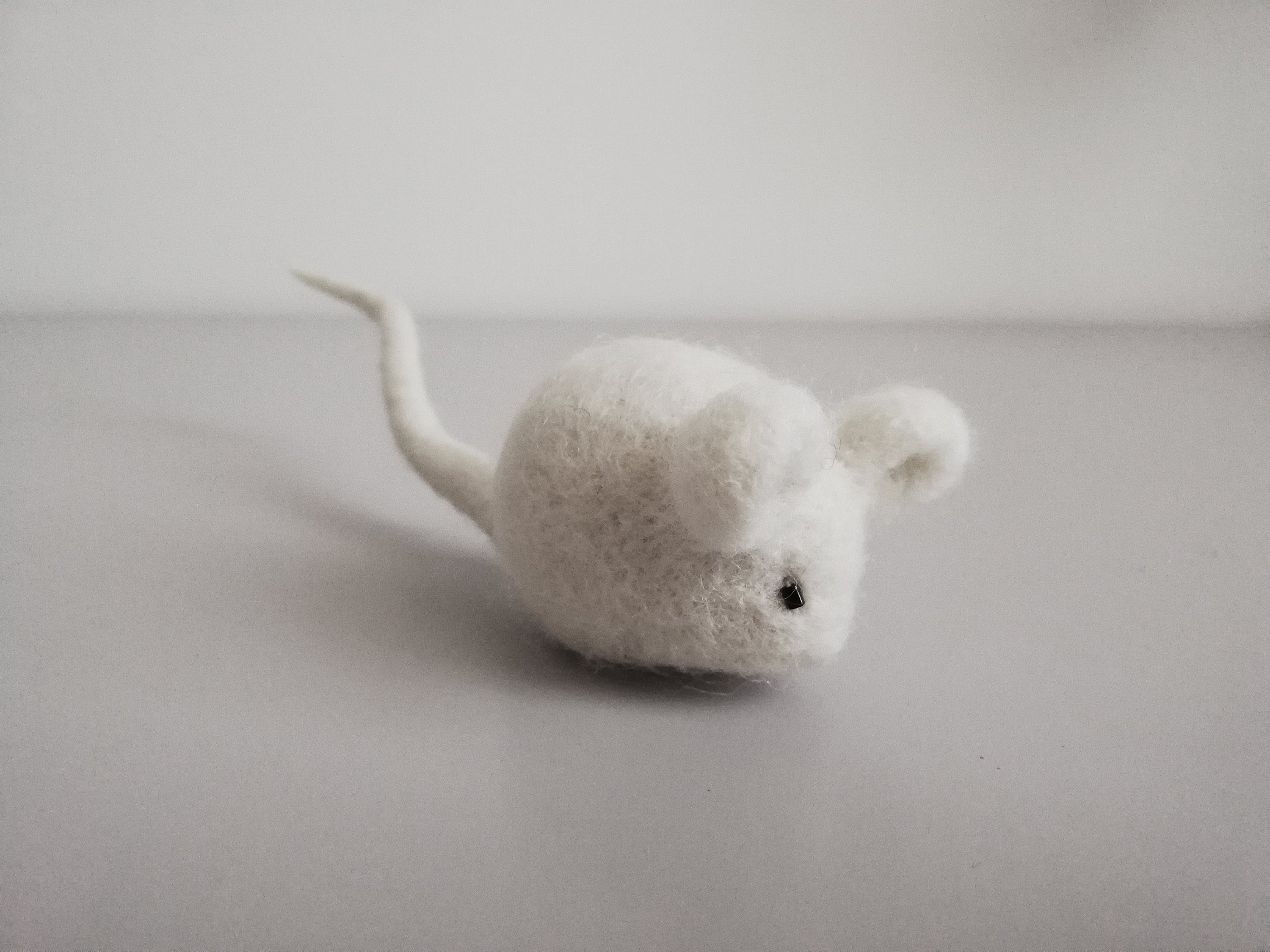 Cat Toy Mouse. Handfelted Kitten Toy Mouse | Etsy