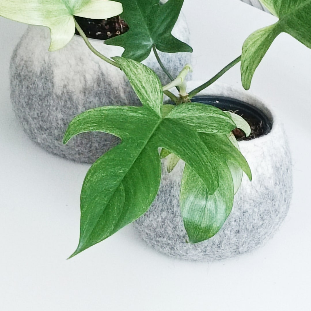 Flower Pot / Felted Flower Planter / Scandinavian Design Flowerpot ...