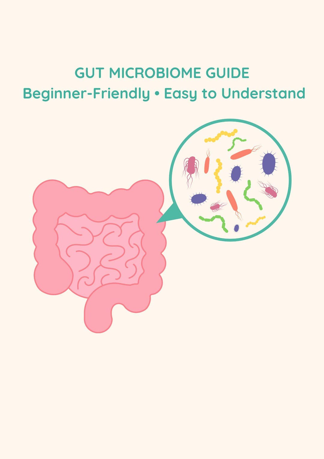Gut Microbiome Guide - Simple Explanations • Beginner Friendly • Easy ...
