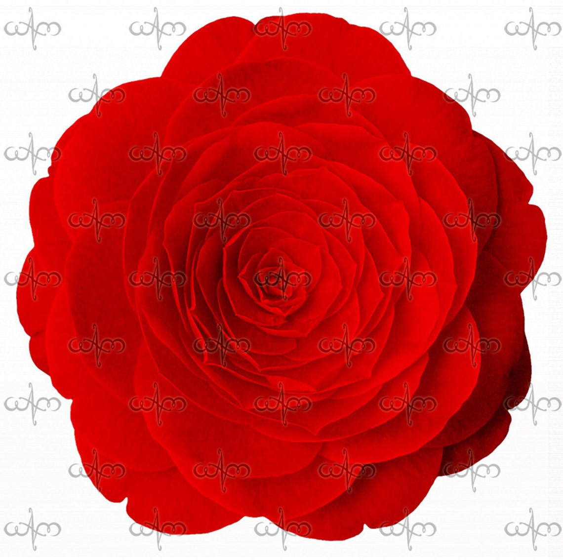 Rose Flowers Clip Art Graphic Design Pattern for Your Art Projects - Etsy