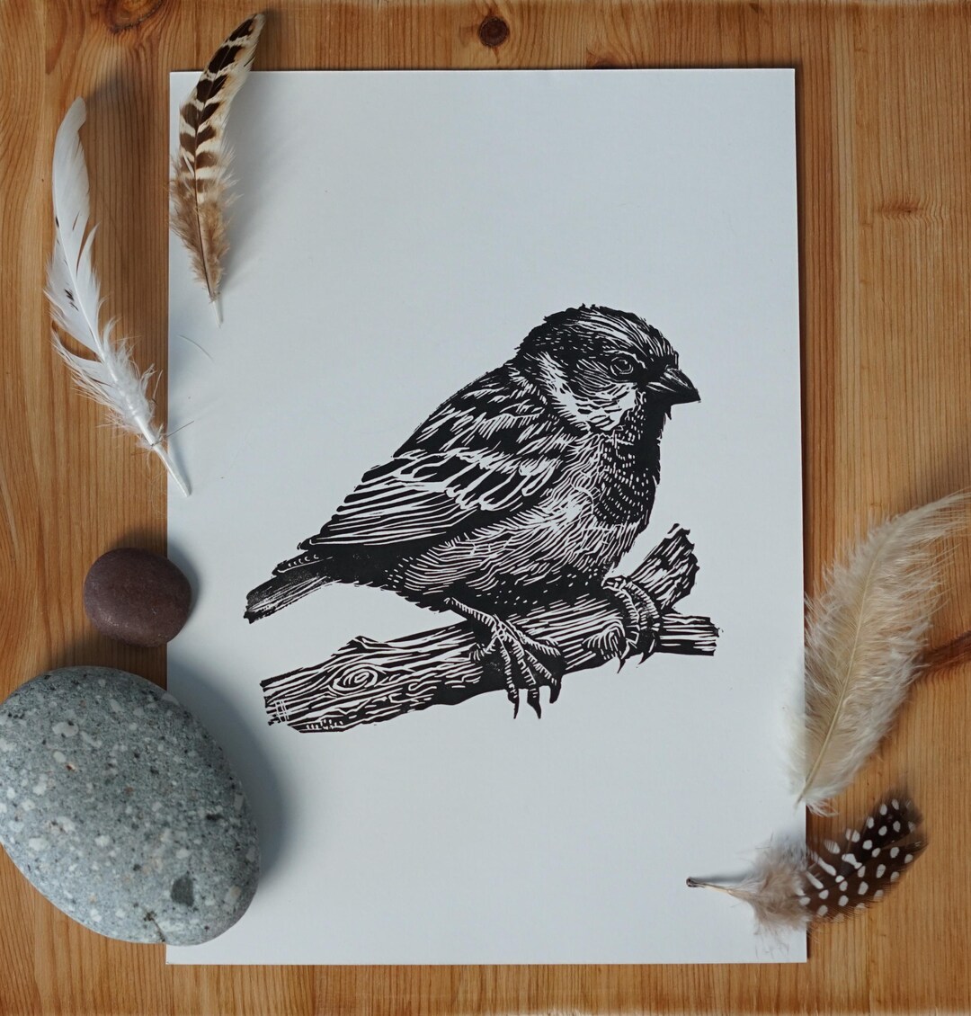 Sparrow - Original Numbered Linocut (limited Edition) - Etsy