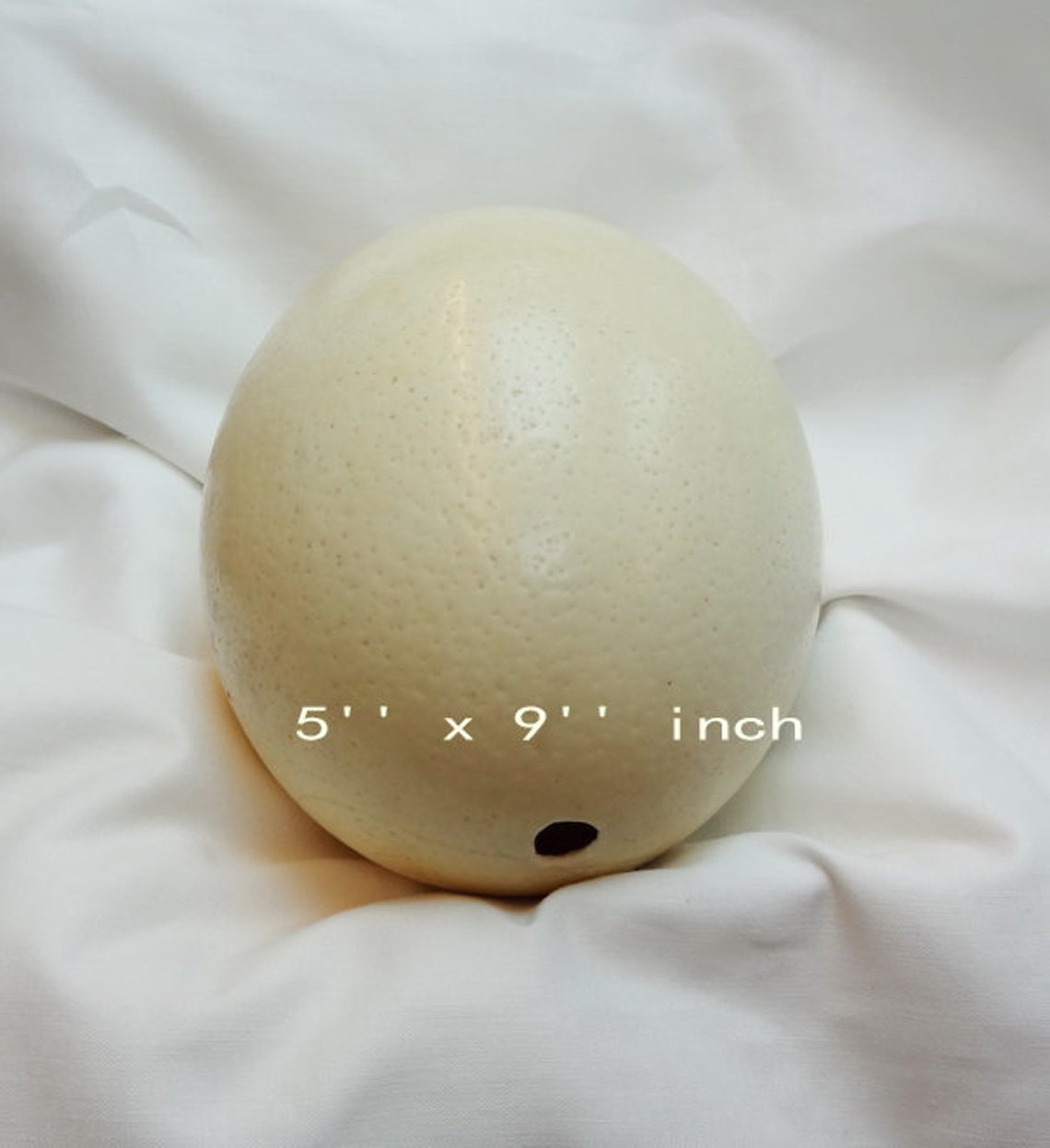 2pcs 13cm X 23.5cm Large Nature Ostrich Eggshell Clean DIY - Etsy