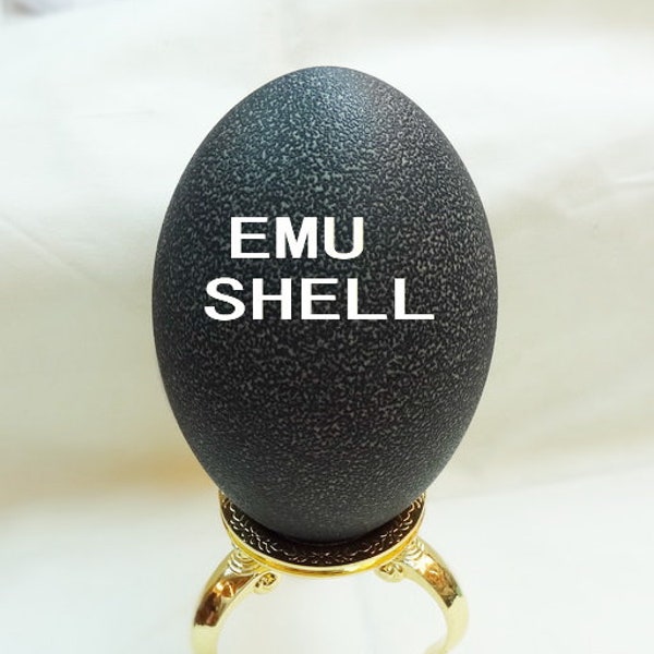Emu Egg - Etsy