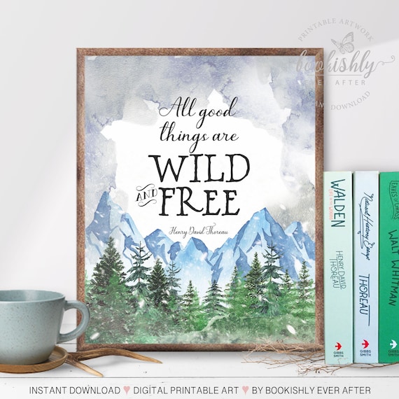 Thoreau Quotes Into The Wild