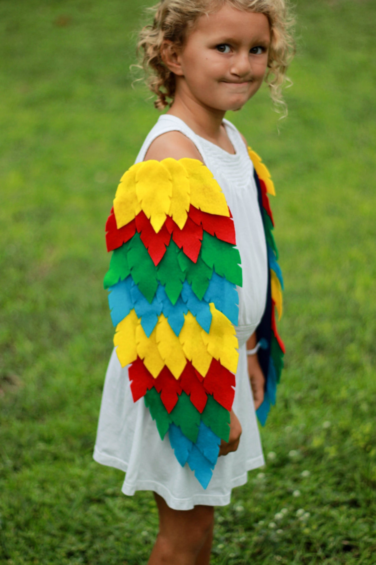 Custom Felt Costume Dress up Bird Wings | Etsy