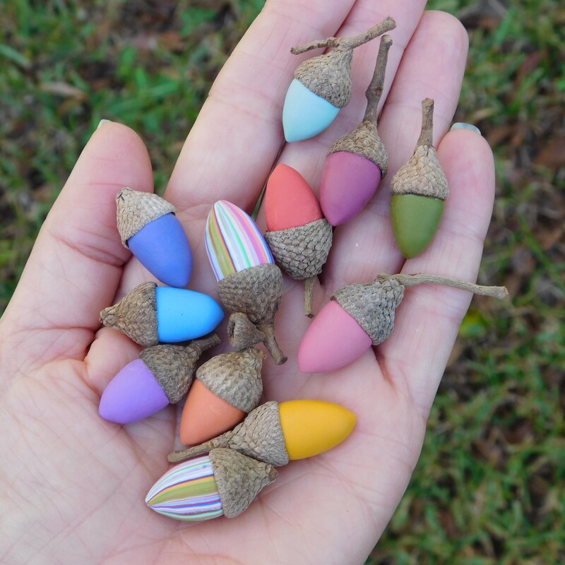 Colorful Acorns - Etsy